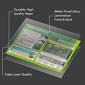 Daydream Education Tropical Rainforests | Geography Posters | Laminated Gloss Paper measuring 33” x 23.5” | Geography Classroom Posters | Education Charts
