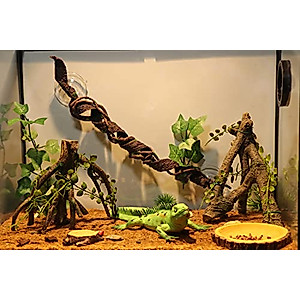 AQUA KT Reptile Corner Branch with Green Leaves Terrarium Desert Habitat Decoration for Lizard Snake Bearded Dragon Chameleon Hermit Crab Leopard Gecko Amphibian Climbing