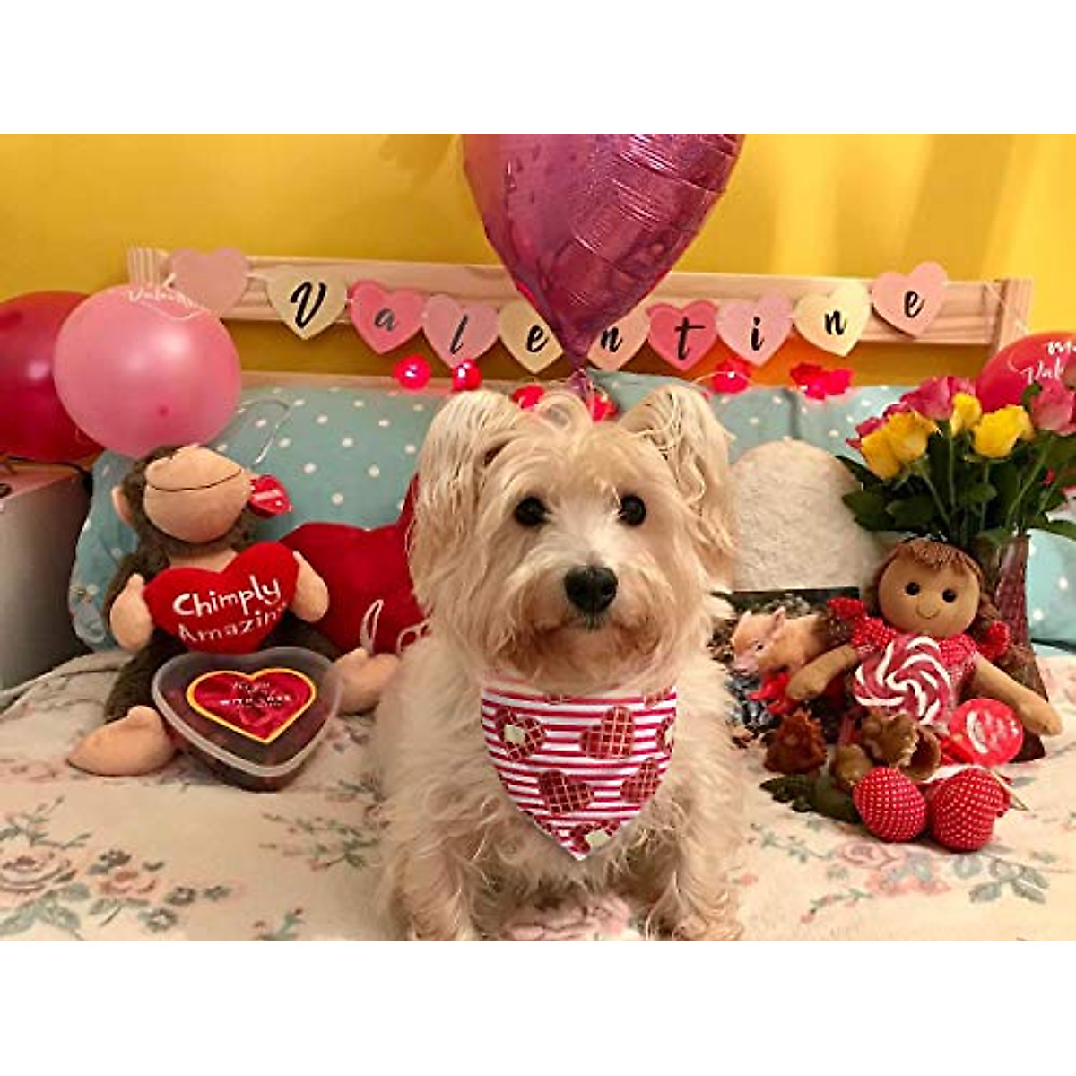 Valentines Day Dog Bandana 2 Pack - Triangle Bibs Pet Scarf for Small Dogs Puppy Cat