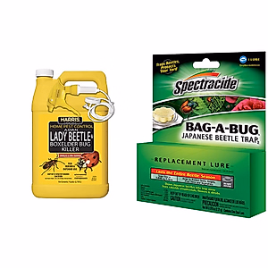 HARRIS Asian Lady Beetle, Japanese Beetle, and Box Elder Killer, Liquid Spray with Odorless and Non-Staining Extended Residual Kill Formula for Insects (Gallon) & Spectracide Bag-A-Bug Japanese