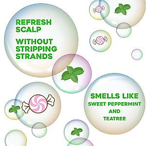 OGX Extra Strength Refreshing Scalp + Teatree Mint Conditioner, Invigorating Conditioner with Tea Tree & Peppermint Oil & Witch Hazel, Paraben-Free, Sulfate-Free Surfactants, 25.4 Fl Oz