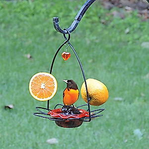 Birds Choice OFF Oriole Flower-Shaped Feeder w/Heart Ornament, Oriole Nectar & Jelly Feeder, 3oz Capacity, Orange