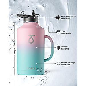 Trebo 64oz Water Bottle Insulated with Straw &2 Lids, Half Gallon Double Wall Vacuum Stainless Steel Metal Large Jug with Handle, Wide Mouth Coffee Flask Mug with Carry Pouch, Keep Cold Hot, Pink
