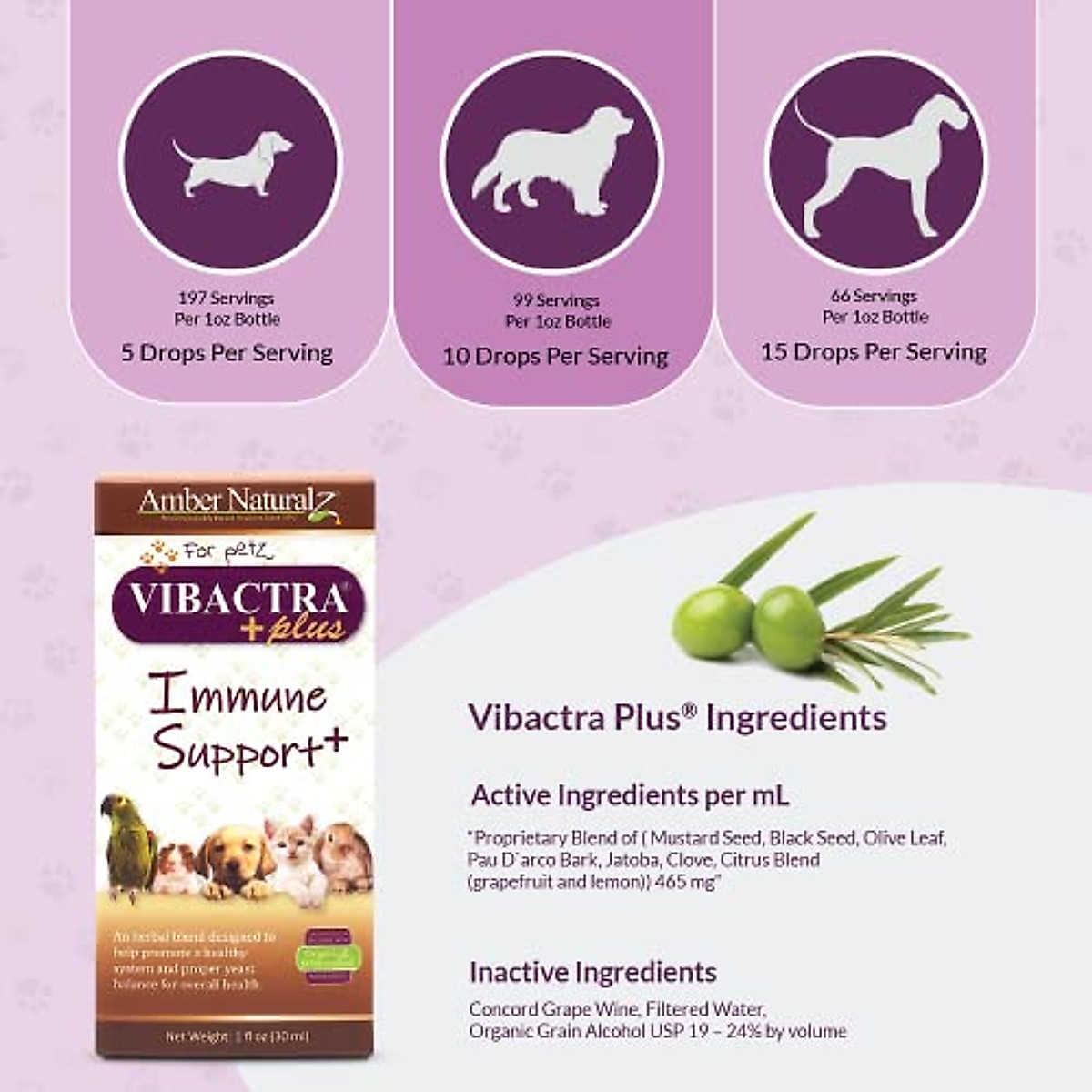 Amber NaturalZ - Vibactra Plus Immune Support Plus - an antioxidant enriched formula helps fight free radicals, supports healthy yeast balance, maintains healthy gut flora, supports upper respiratory health and oral health - 1 Oz