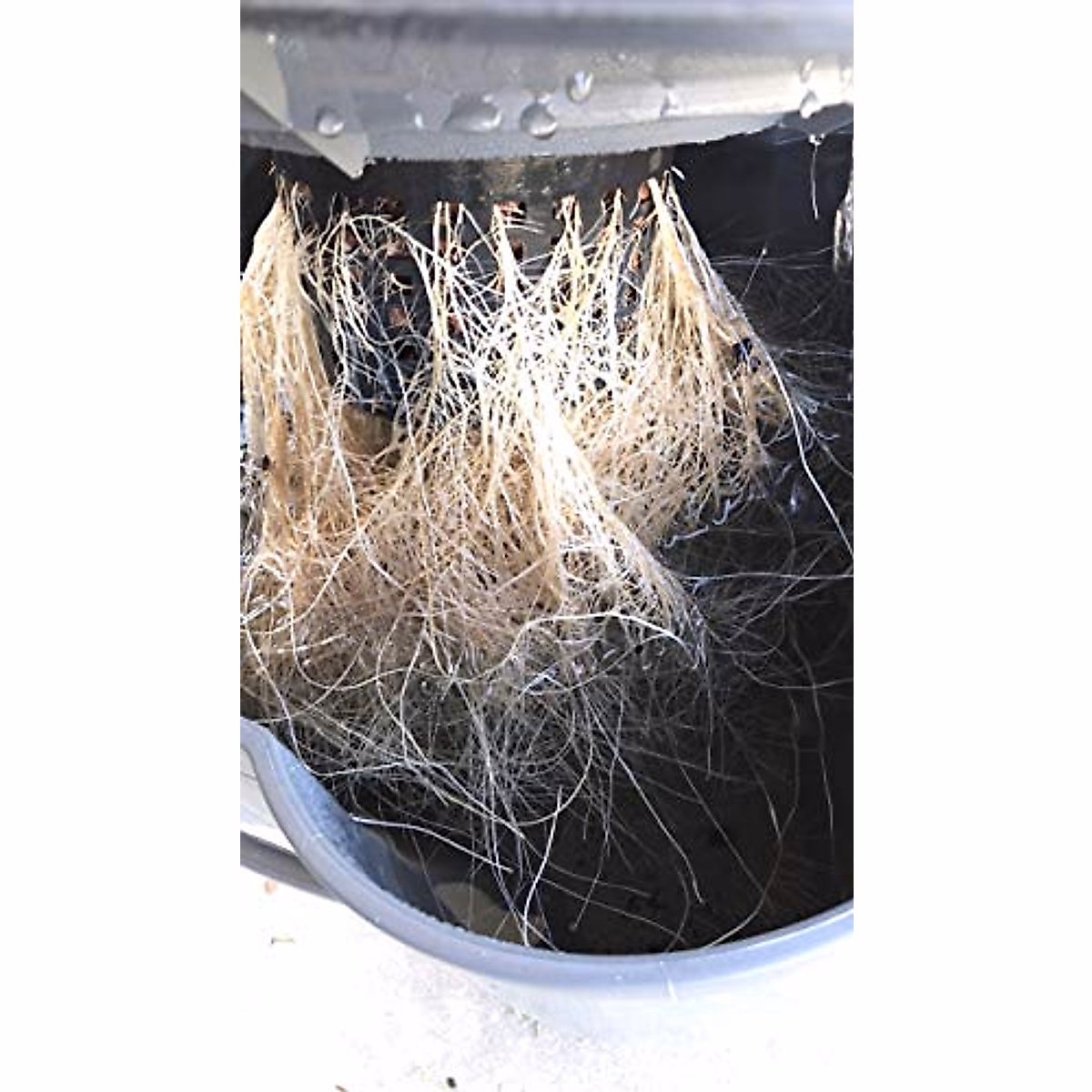 DWC Hydropoinc System Kit (4)