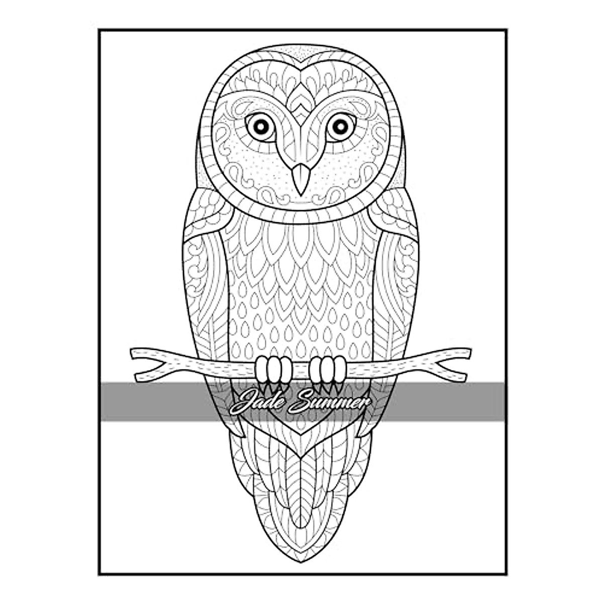 100 Animals: An Adult Coloring Book with Lions, Elephants, Owls, Horses, Dogs, Cats, and Many More!