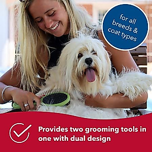 Coastal Pet Safari Pin and Bristle Combo Dog Brush with Plastic Handle - 2-in-1 Wire Pin Brush and Dog Bristle Brush - Ideal for Multi-Dog Household - For Dogs with Short and Long Hair - Large