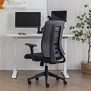 AOSKY Office Chair Ergonomic Desk Chair Task Chair with Mesh Backrest Height Adjustable Armrest Leaning Adjustable Computer Chair for Home Office (Black Back)