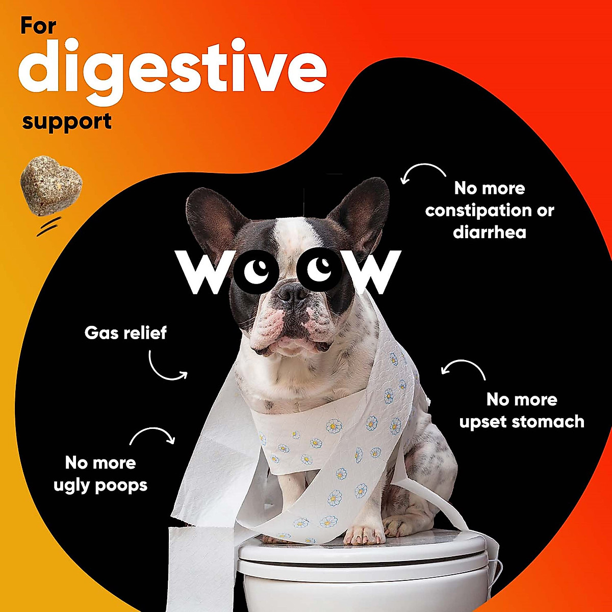 Dr Woow Probiotics for Dogs, Pet Dog Probiotics and Digestive Enzymes, Duck & Pumpkin Flavor Dog Probiotic Supplements, Dog Vitamins Dog Probiotic Chews and Prebiotics for Dogs, Dog Gas Relief