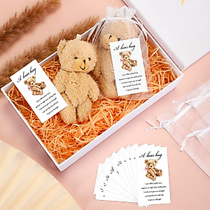 Zhanmai Set of 12 Mini Plush Bears Gift Little Pocket Bear Inspirational Bear Hug Gift Card Organza Bags for Party Favors Stocking Suffers for Class