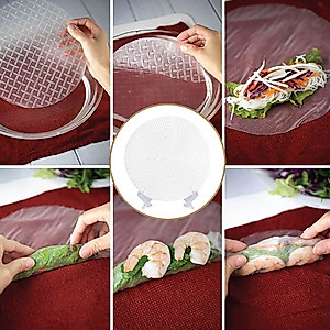 Rice Paper Wrappers for Spring Rolls Rice Paper Water Bowl Rice Paper Wraps Vietnamese Rice Paper Holder Maker Water Bowl Rice Wraps for Spring Rice Bowl Rice Roll 10 Rice Paper Tray and 1 Stand