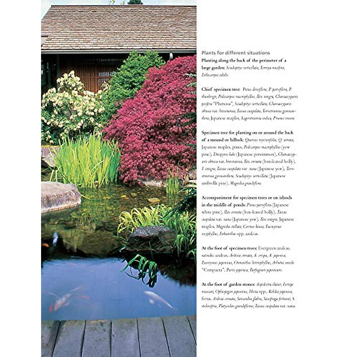 Authentic Japanese Gardens: Creating Japanese Design and Detail in the Western Garden (IMM Lifestyle Books) Traditional Elements, Layout, a Plant Directory of Trees, Shrubs, Bamboo, Flowers, and More