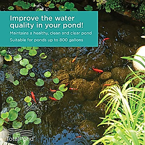 TotalPond Complete Pond Filter with UV Clarifier Black 15.16 x 9.06 x 13.11 in.