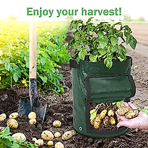 DECORLIFE 6-Pack Potato Grow Bags, 10 Gallon Thick PE Fabric Pots for Plants, Sturdy Handles & Harvest Window, Labels Included, Green