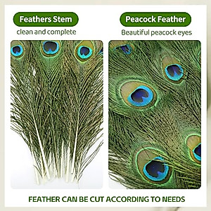 iHUFeather 10PCS Real Natural Peacock Eye Feathers 10-12 inch for DIY Craft Floral Arrangements,Wedding,Home and Party Decorations Feathers,Natural