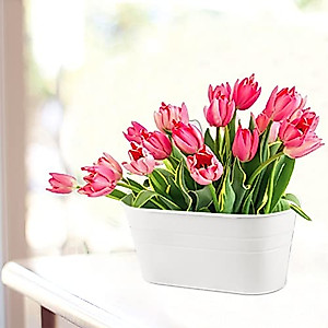 Foraineam 4 Pack Hanging Flower Pots, Metal Iron Plant Pot Holders, Large Fence Railing Balcony Garden Hanging Bucket Planters with Detachable Hooks for Indoor and Outdoor Decor