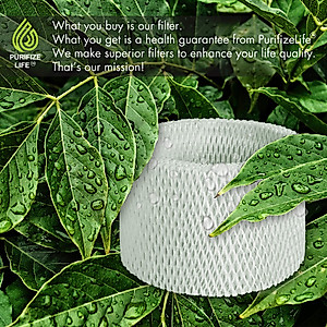 PURIFIZE LIFE Premium Replacement Wick Filter for Honeywell Humidifier HAC-504, HAC-504AW, HAC504, Filter A, HCM-350, HCM 350, HCM350W, HCM-315T, HCM-600, HCM-710 and Other Cool Mist Models (3 Pack)
