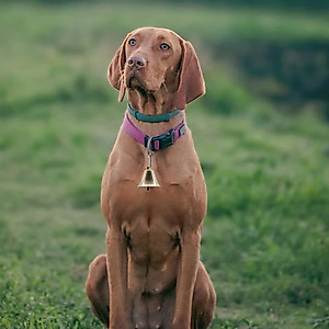 Craft Bells,2PCS Brass Bell(2" X 2") Vintage doorbell for DIY Craft Cow Horse Sheep Dog Camel Bells Home Garden Christmas Tree Decoration Bells KSI(Loud Sound)