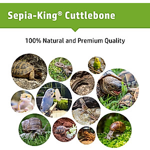 Sepia King - Extra Large - 100% Natural Calcium Supplement - Premium Cuttlebone perfect for Birds, Tortoises, Snails, Reptiles - Pack of 3