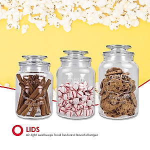 Home Basics 3 Piece Glass Canister Set