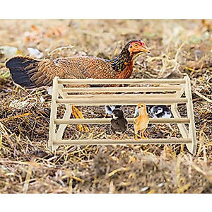 CooShou 3 Pack Chick Perch Chick Toys Chick Wooden Roosting Bar Chick Jungle Gym Perch Stand for Chicken Brooder, Coop Baby Chicks