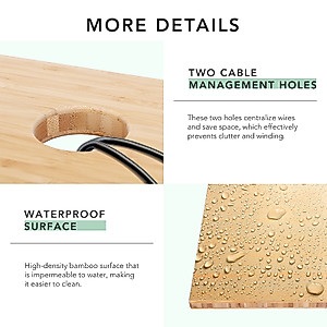 FLEXISPOT E8 Dual Motor 3 Stages Bamboo Electric Standing Desk 60x30 Inch Oval Leg Whole-Piece Board Height Adjustable Desk Electric Stand Up Desk Sit Stand Desk (White Frame + Bamboo Curved Desktop)