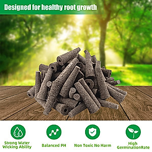 POUYRBA Grow Sponges, 80pcs Brown Peat Soil Hydroponic Sponges Rock Wool for Hydroponic Growing Hydroponic Pods for Breeding Seeds