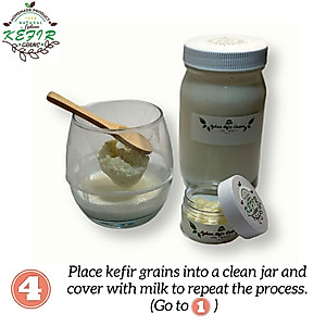 Milk Kefir Grains, Fresh Live Active Probiotic Starter Cultures, Grows Fast, Pajaritos, Bulgaros de Leche, 2 TBSP, 6 TSP