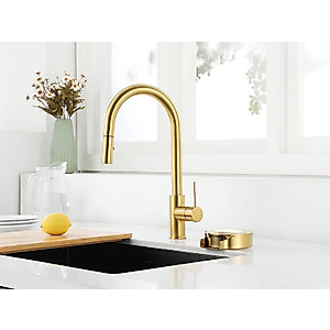 AguaStella ASR01GS Brushed Gold Metal Glass Rinser for Kitchen Sink with Cover, Kitchen Sink Cup Riner, Bar Glass Rinser, Kitchen Sink and Bar Sink Accessory