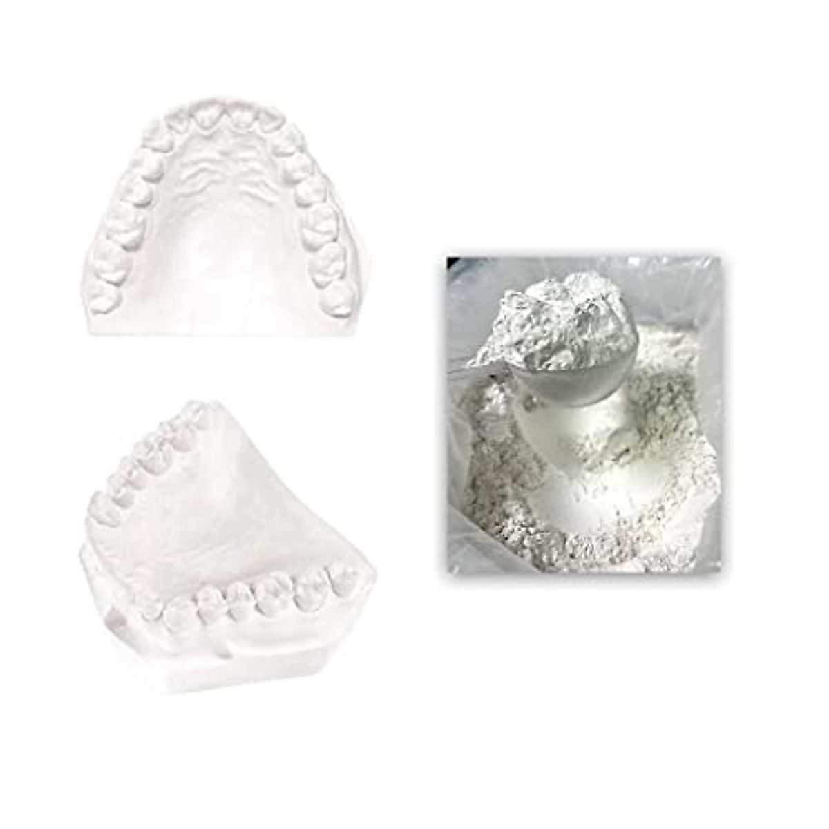 White Dental Lab Plaster with Scoop for Dental Cast Fabrication, Dental Study Model, Casting Replicas - 5 lb. Dental Plaster White Type II Regular Set Model Stones Used in Dental Lab, Arts and Crafts