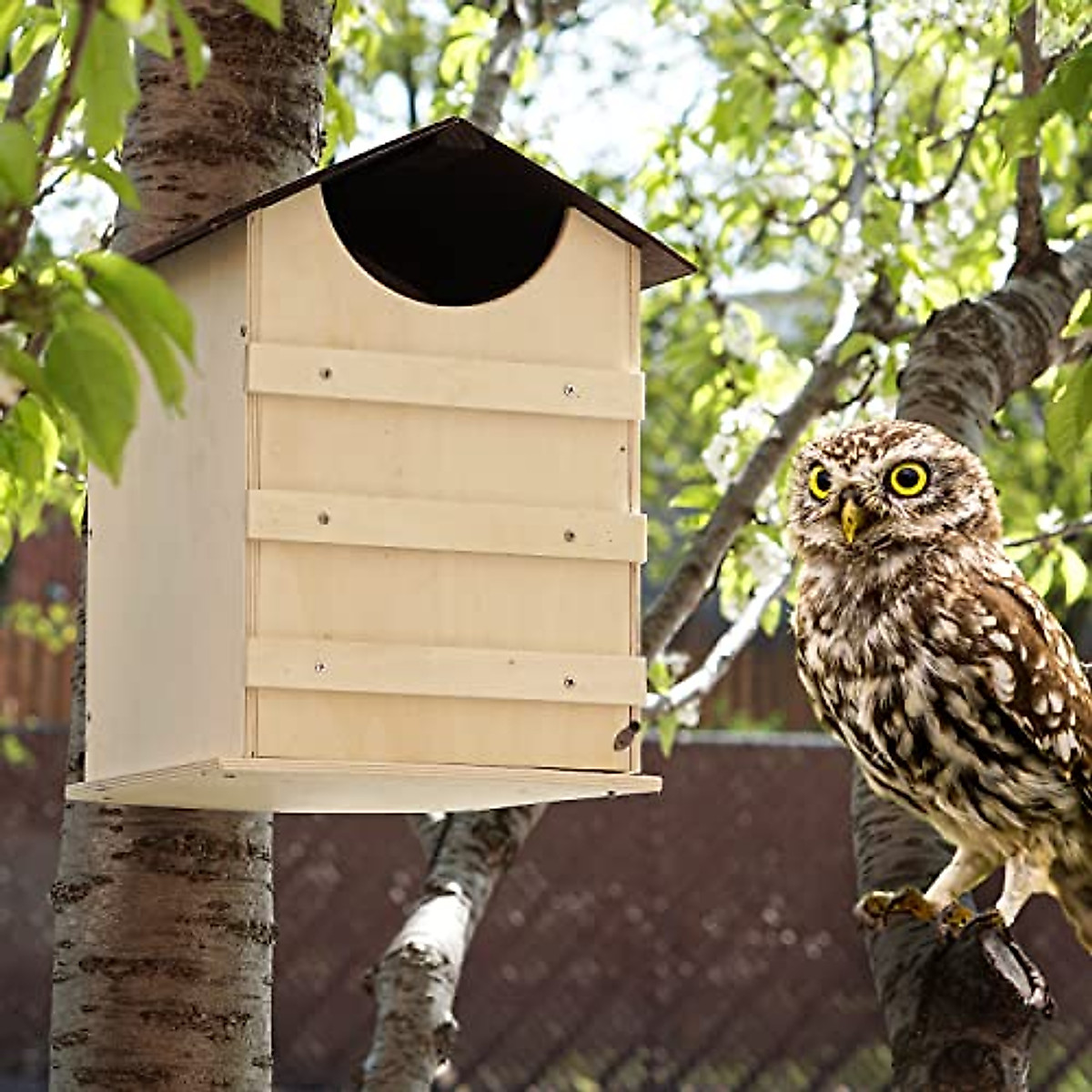 2 Pack Owl House, Wooden Large Size Owl Nesting Box for Screech Owl, Saw Whet Owl, Barn Owl, Barred Owl, Extra Durable with Wood shavings and mounting Parts, Quick and Easy Assembly Required