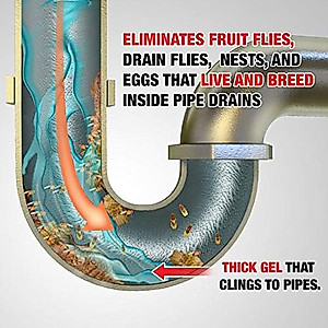 Green Gobbler Fruit Fly Goodbye Gel Drain Treatment | Drain Fly Killer | Fruit Fly Killer | Drain Flies Treatment | Fruit Flies Treatment | Drain Fly & Fruit Fly Eliminator (32 oz)