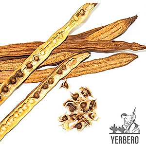 Yerbero - 100% All Natural Moringa Oleifera Seeds 600 Count (6oz) | (Drumstick Tree) | Semillas De Moringa Comestibles