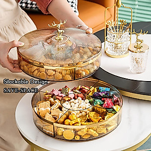 WMGoods Large Capacity Acrylic Serving Tray with 5 Compartments, Amber, 20"