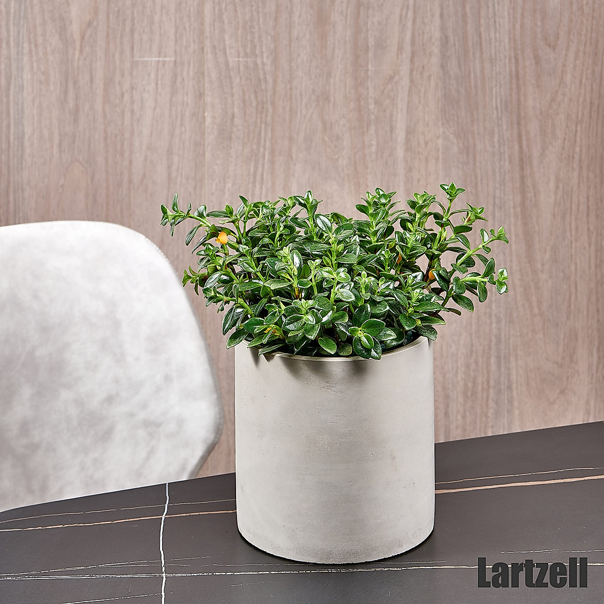 Lartzell Plant Pots, 8.6 Inch Planters for Indoor Plants, Grey Cement Flower Pot with Drain Hole, Modern Concrete Planters for Home Office & Outdoor Decor