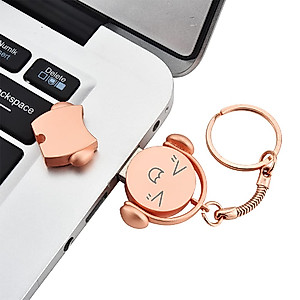 zjr USB Flash Drives 64gb Thumb Drive Cute Cartoon Metal Pen Drive 2.0 Portable Memory Stick with Keychain Crush Resistant Dust Proof Shockproof Data Storage Flash Drive Gifts (A23-M)