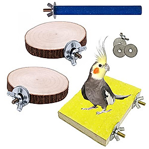 PINVNBY Colorful Bird Perch Stand Platform Sand Paw Grinding Stick Wood Parrot Stand Platform for Cockatiels Parakeets Canaries Hummingbird Little White Budgie（4 PCS+Color Random）