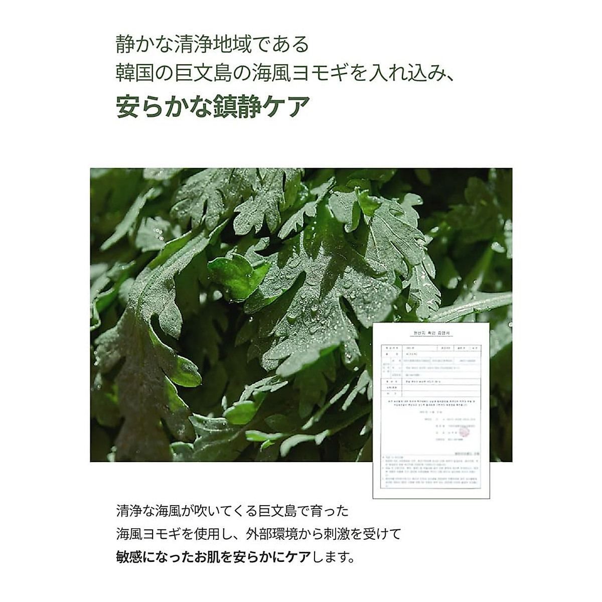 ROUND LAB Mugwort Calming Toner 300ml / Madecassoside, Soothing, Water Type Toner