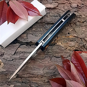 DOOM BLADE Gifts for Men Pocket Knife, Folding Knives with Pocket Clip 2.63 inches Blade Length 440C Stainless Steel Blade with Wood Handle,Lightweight,For Outdoor, Hunting, Fishing,Camping (Black)