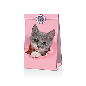 Cat Bag,Kitty Cat Party Supplies,Pet Cat Birthday Theme,Girls,Boys,Kids,Home,Classroom,Baby Shower?24Pack)?