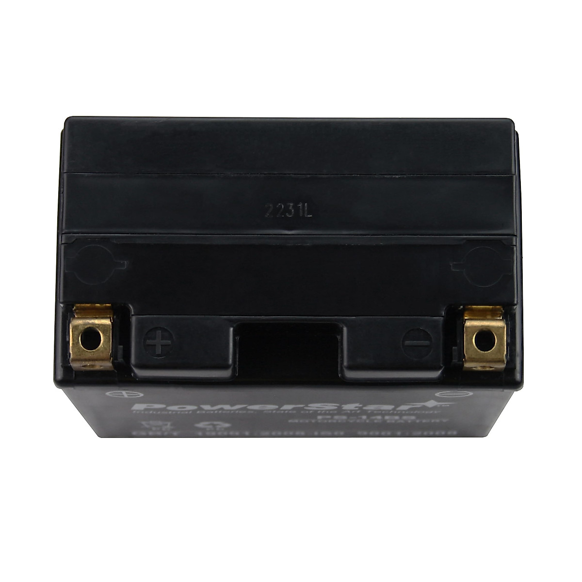 PowerStar YTX14-BS, YTX14, KMX14-BS, FTX14-BS Replacement Battery 200cca High Performance WP14-BS Sealed AGM for Powersports