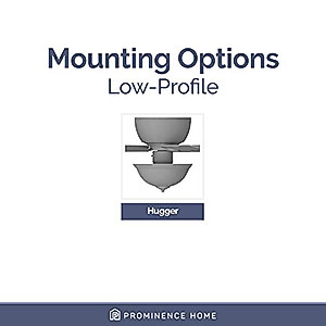 Prominence Home 51465-01 Espy Ceiling Fan, 52, Gun Metal