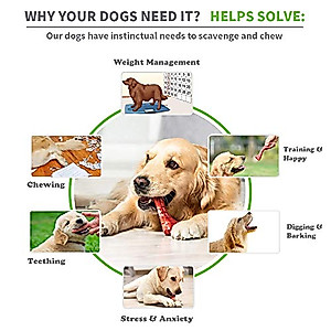 Dog Toys for Aggressive Chewers, Indestructible Durable Dog Chew Toys, Non-Toxic Food Grade Nylon Dog Bone Toy Reduces Boredom, Tested by Labrador, Golden Retriever, More Small Medium and Large Breed