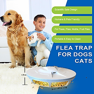 Kiwinurse Flea Traps for Inside Your Home - Indoor Flying Traps and Killer with 5 Flea Trap Refills and 9 Flea Trap LED Lights,1 Device + 5 Refills