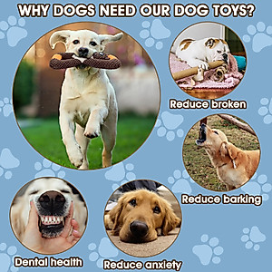 BAPSOUZU Squeaky Dog Chew Toys for Aggressive Chewers, Dog Toys for Large Medium Small Breed Dog, Indestructible Tough Durable Dogs Toys Interactive Puppy Teeth Clean Natural Rubber(Raccoon & Zombie)