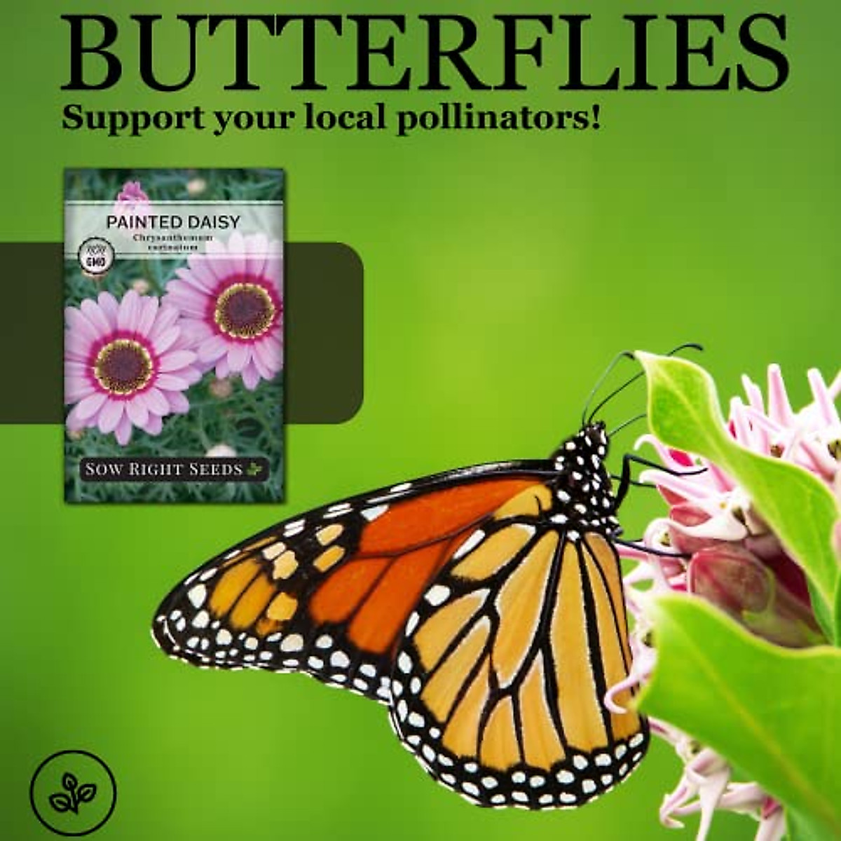 Sow Right Seeds - Painted Daisy Seeds for Planting - Beautiful Flowers to Plant in Your Home Garden - Non-GMO Heirloom Seeds - Wonderful Pink Blooms to Attract Pollinators - Great Cut Flower and Gift