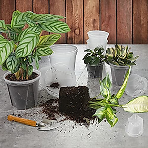 GREENPARA Transparent Plastic Planter 4/5 /6 inch Plant Nursery Pots with Drainage Hole Indoor Modern Decorative Containers for Plants, Herb, Flowers, and Cactus with 10pcs Plant Labels, 12pcs