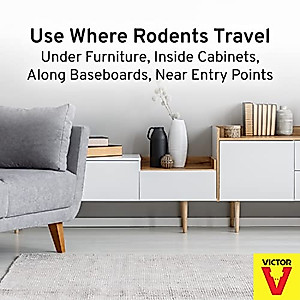 Victor M308 TIN CAT Clear Top Mouse Rat Trap, Pack of 12, Silver