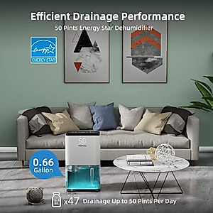 HOGARLABS 3500 Sq. Ft 50 Pint Energy Star Dehumidifier for Home Basements Bedroom Bathroom | Dehumidifiers with Drain Hose for Medium to Large Room | Intelligent Humidity Control | Quiet & Energy Efficient