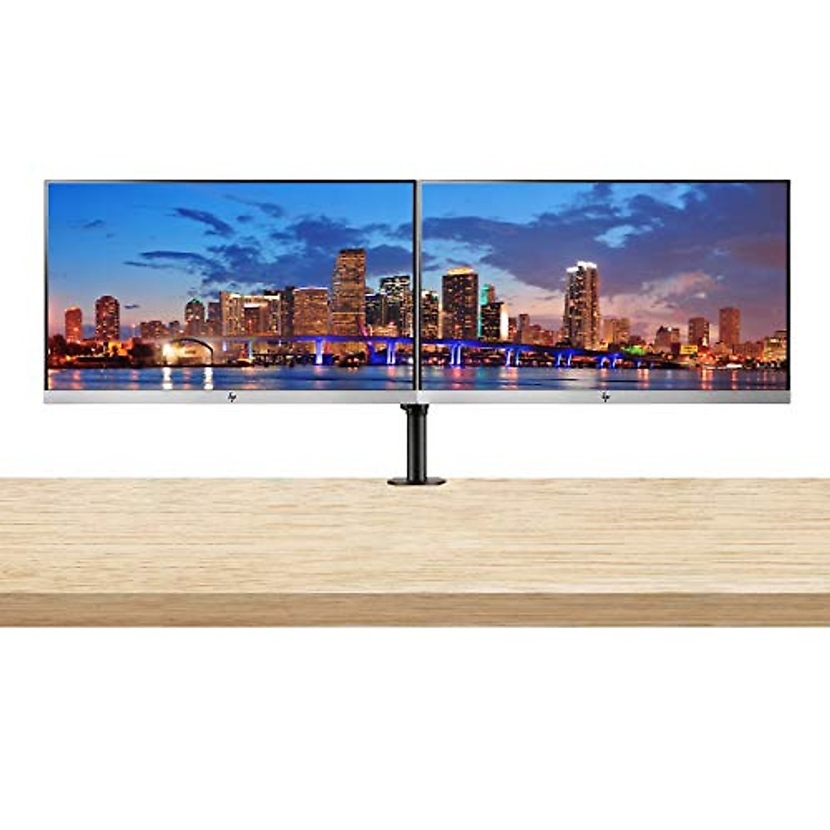 HP EliteDisplay E223 21.5 Inch IPS LED Backlit Monitor (1FH45A8#ABA) 2-Pack Display Bundle with Fully Adjustable Dual Monitor Stand and Desk Mount Clamp